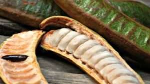 Las Delicias Tropicales de Venezuela - Por Una Venezuela Posible